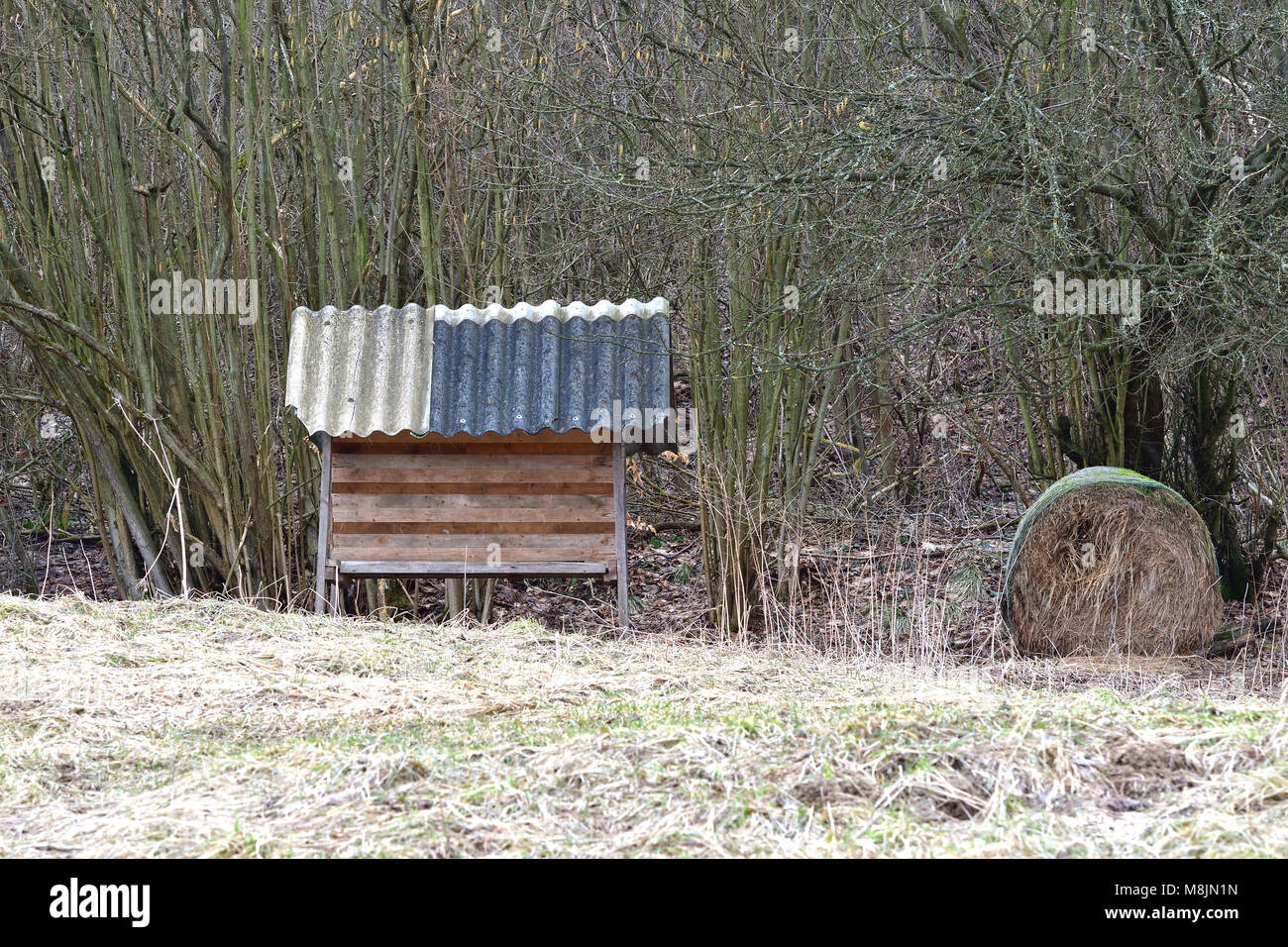 fodder rack with hay for animal in the forest Stock Photo - Alamy