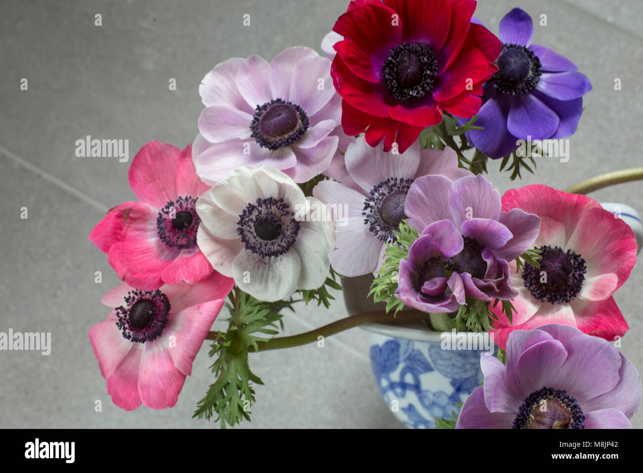 Colorful bunch of anemones Stock Photo - Alamy