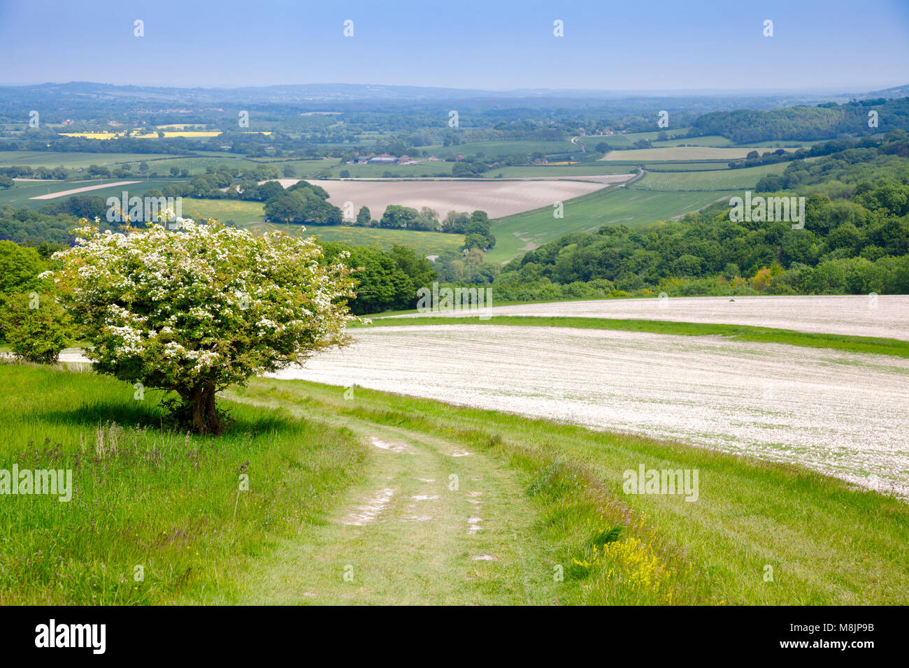 Long distance bridle route hi-res stock photography and images - Alamy