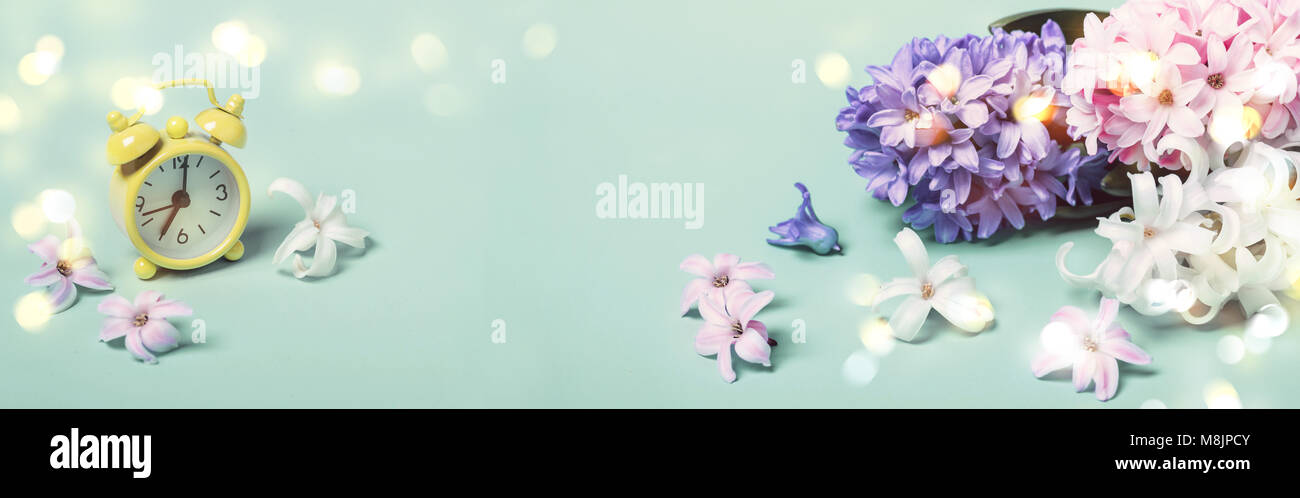 Spring Flowers Hyacinths and alarm clock. Springtime concept Stock ...