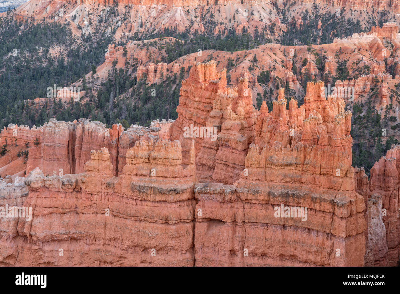 Bryce Canyon National Park Landscape Stock Photo - Alamy