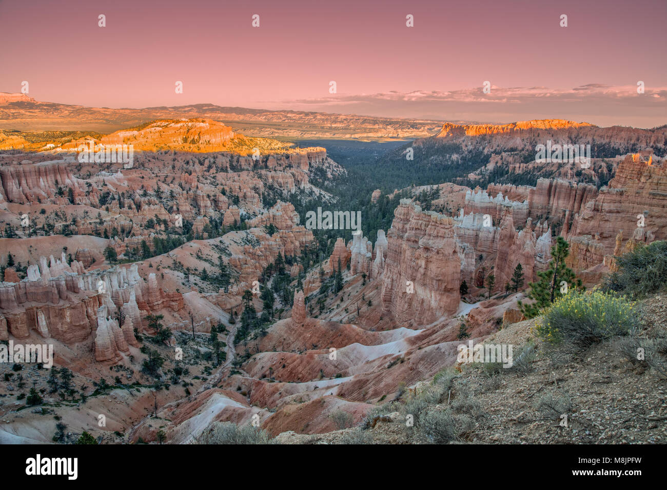 Bryce Canyon National Park Landscape Stock Photo - Alamy
