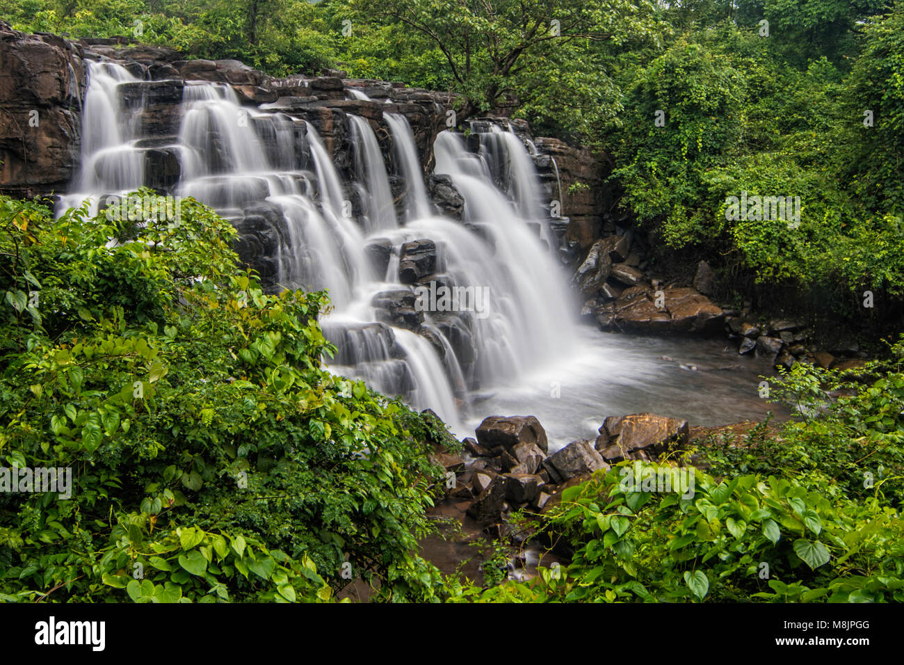 Cascading Sav Dav Waterfall near Kankavli Stock Photo - Alamy