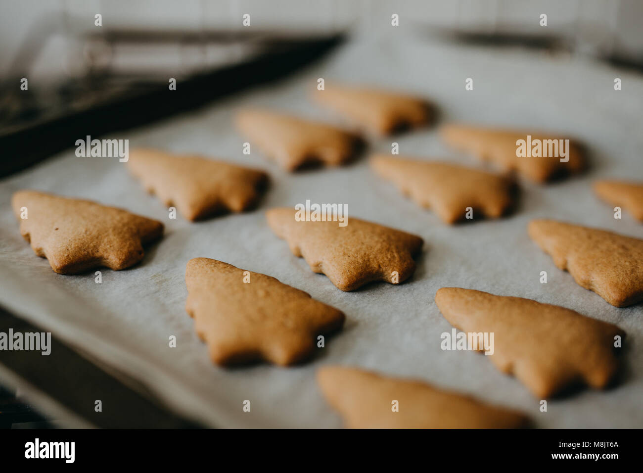 Baked gingerbread cookies in hi-res stock photography and images - Alamy
