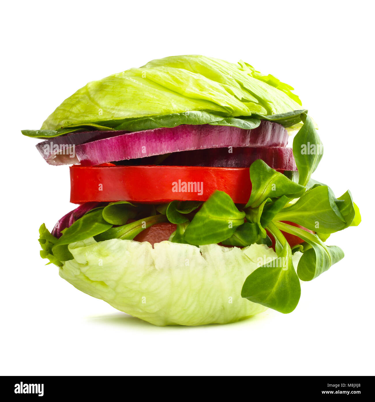 Vegetarian healthy eating burger concept, vegan vegetable stack in ...