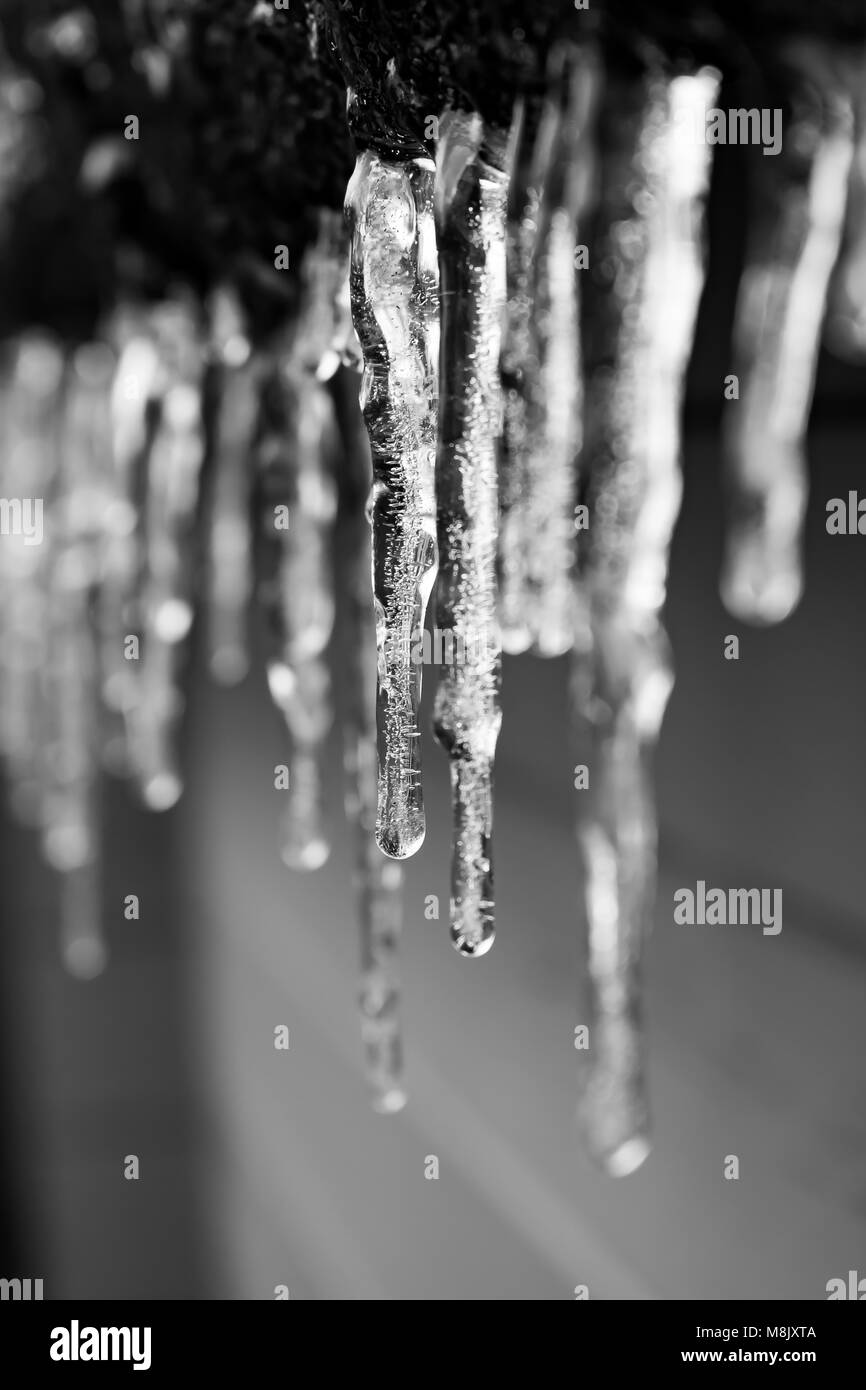 Dripping icicles Black and White Stock Photos & Images - Alamy