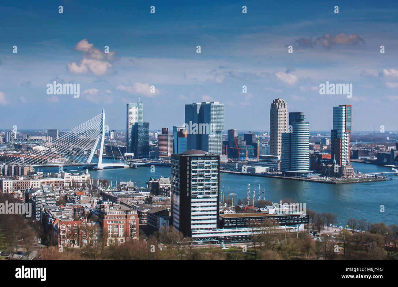 Rotterdam park water hi-res stock photography and images - Alamy