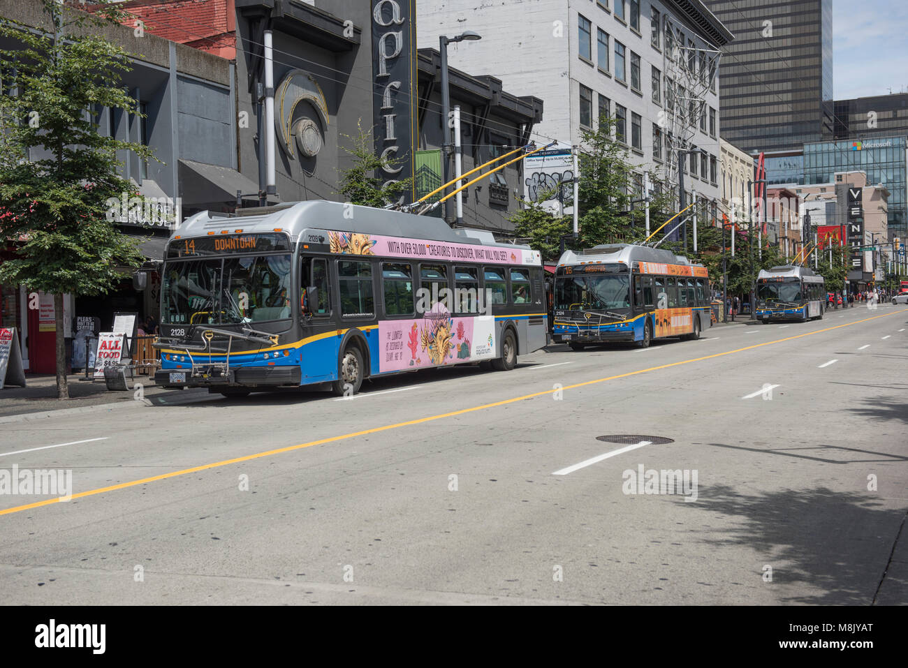 Transit buses hi-res stock photography and images - Alamy