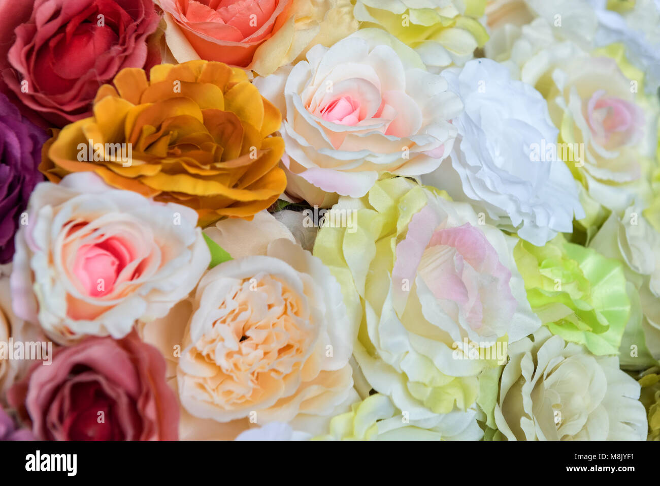 Colorful design pattern of flower texture and background Stock Photo ...