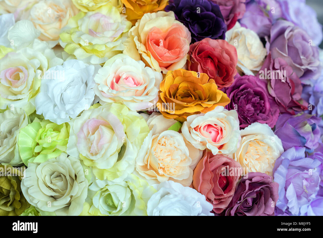 Colorful design pattern of flower texture and background Stock Photo ...