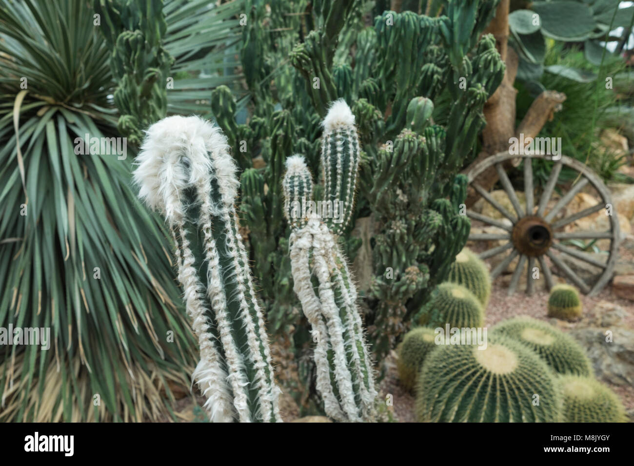 Wagon wheel landscaping hi-res stock photography and images - Alamy