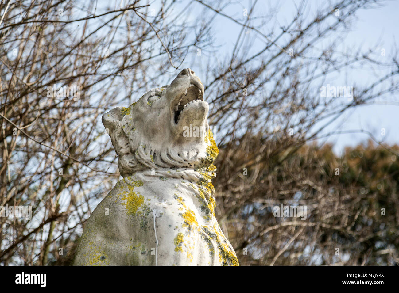 Jennings Dog, aka The Duncombe Dog aka The Dog of Alcibiades, Victoria ...