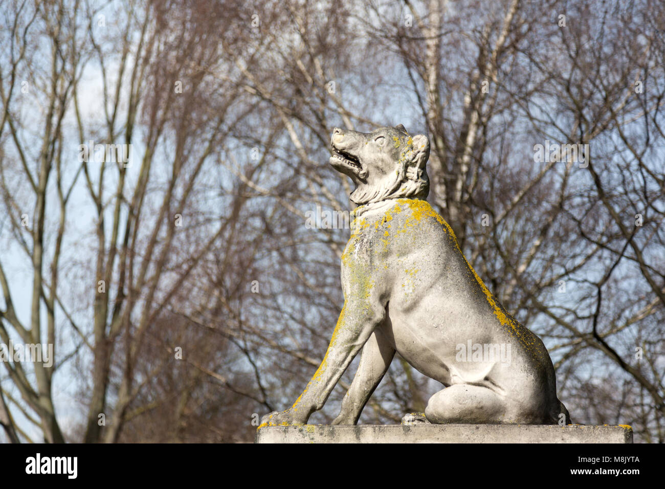 Jennings Dog, aka The Duncombe Dog aka The Dog of Alcibiades, Victoria ...