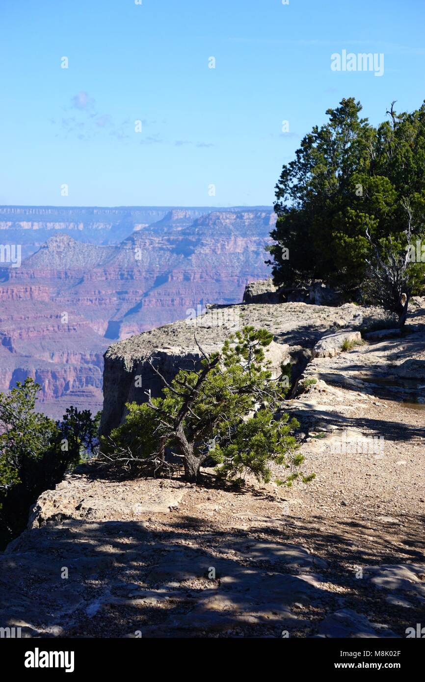 Walking between barriers hi-res stock photography and images - Alamy