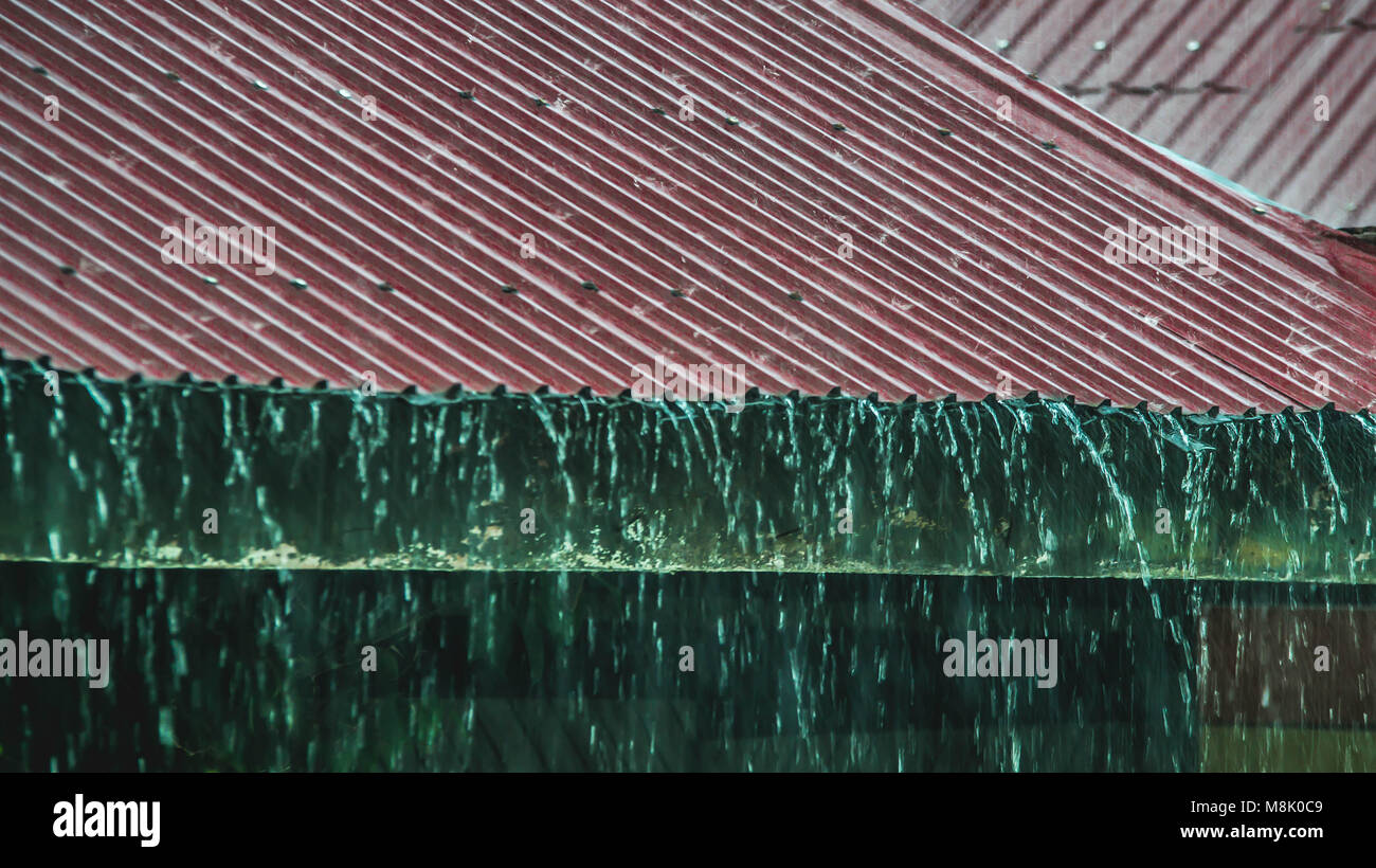 closeup of the rain falling from wavy metal roof sheet. Climate and ...