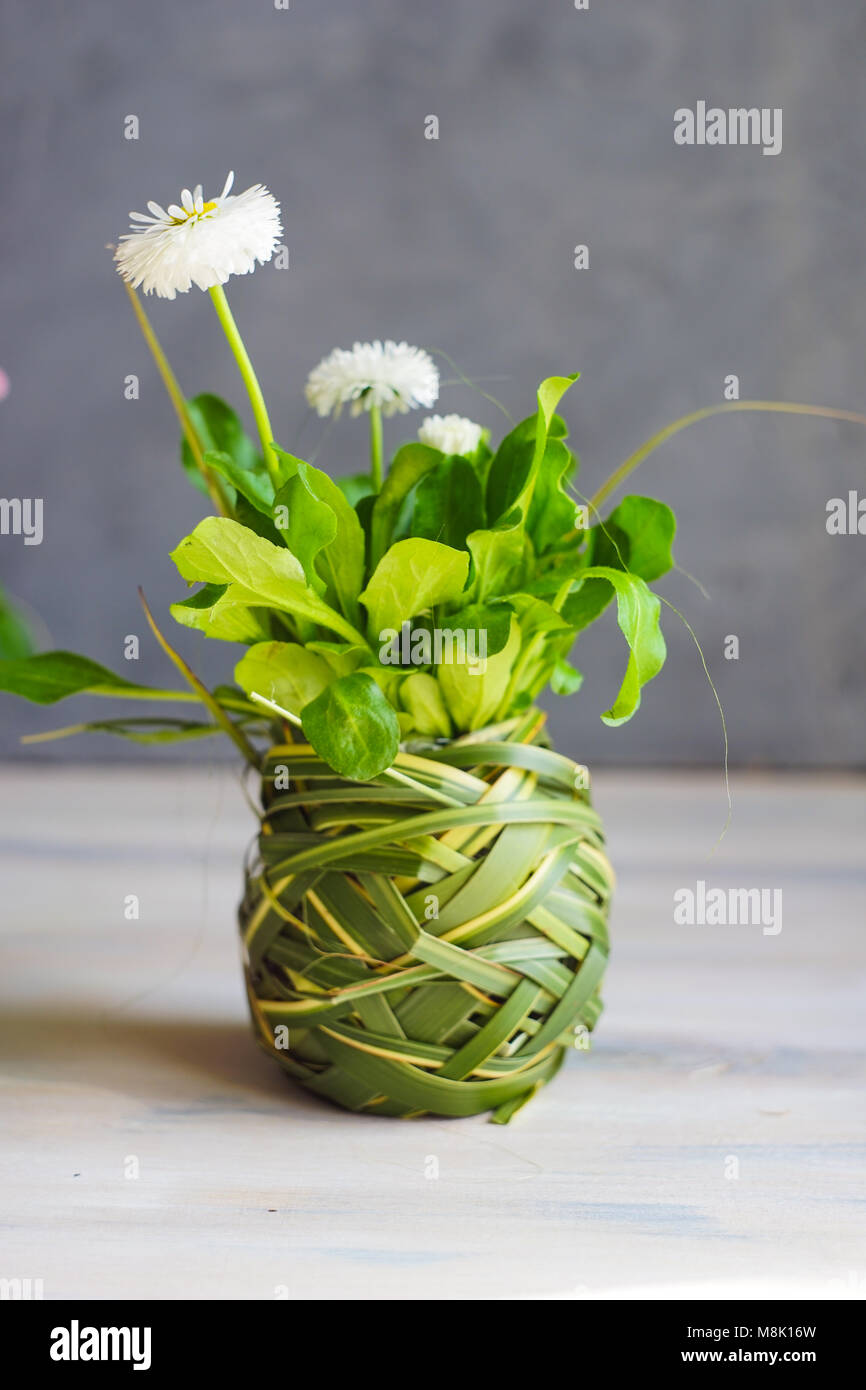 First spring flowers in a pot as a spring interior concept with copy ...