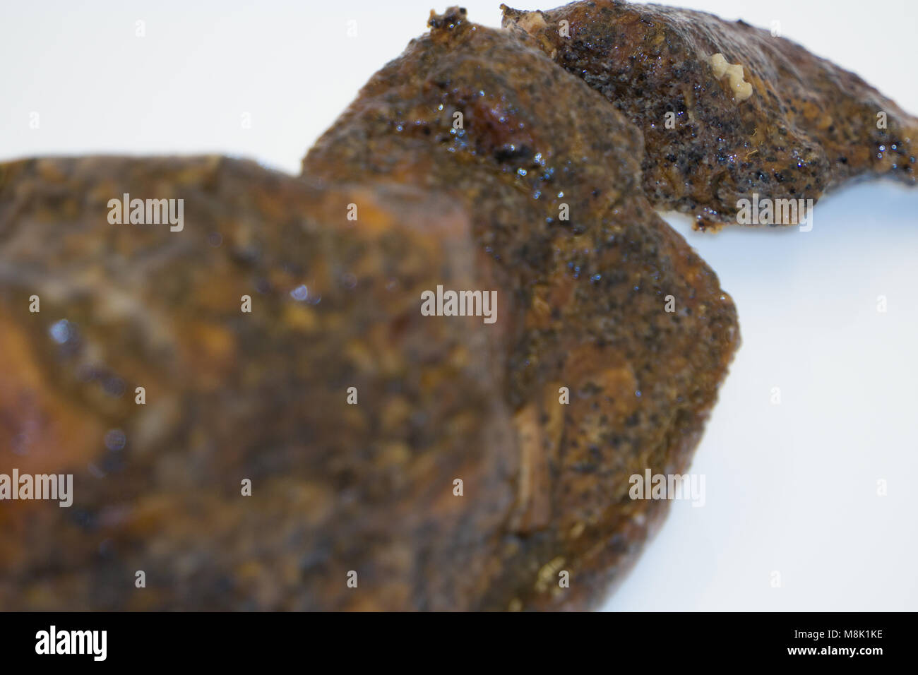 Anisakis worm, a parasite of marine mammals, present in raw mackerel ...