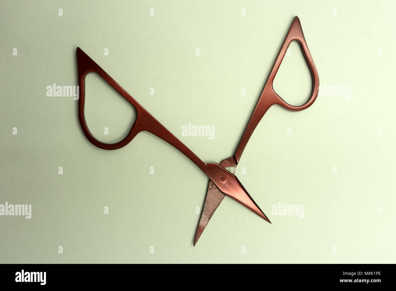 Animalhair hi-res stock photography and images - Alamy