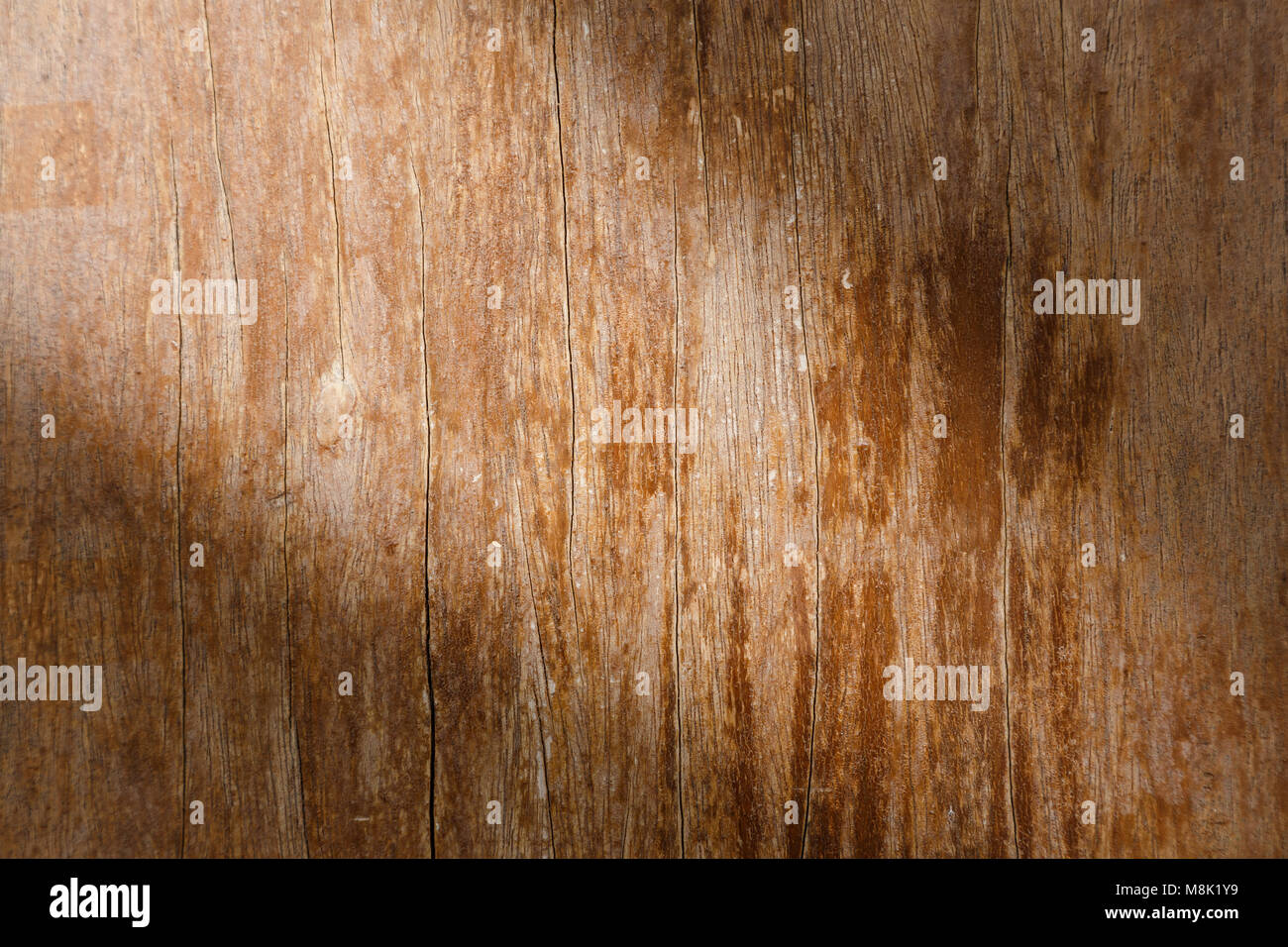 Wood texture or wood background. wood for interior exterior decoration ...