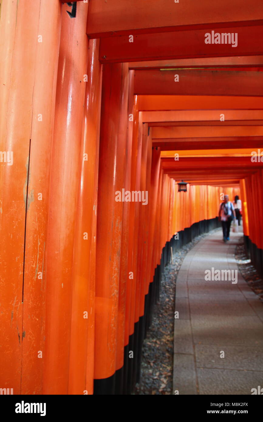 Thousands of vermilion torii gates at Fushimi Inari Shrine, Kyoto ...