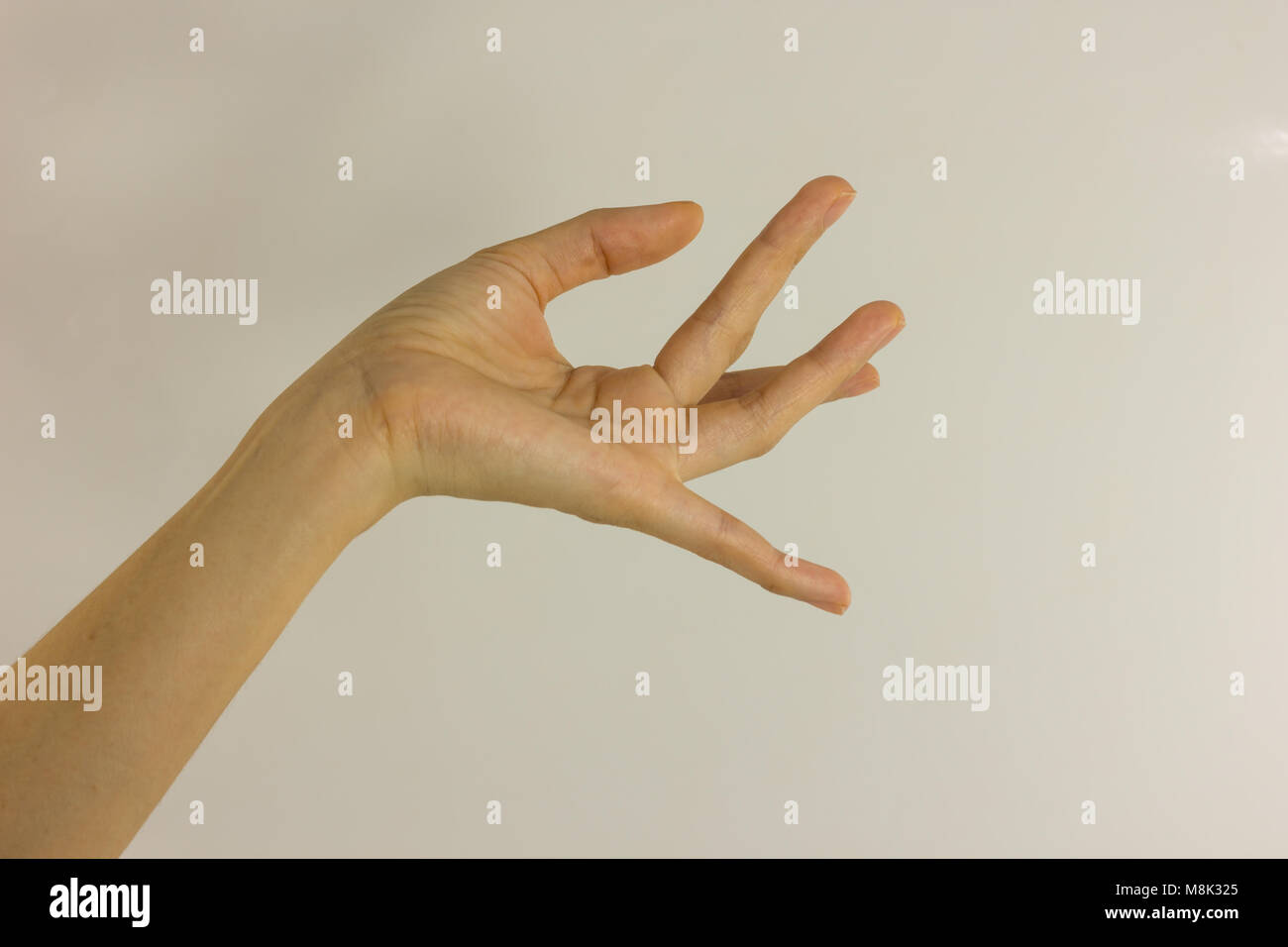 Woman hand Isolated on white Stock Photo - Alamy