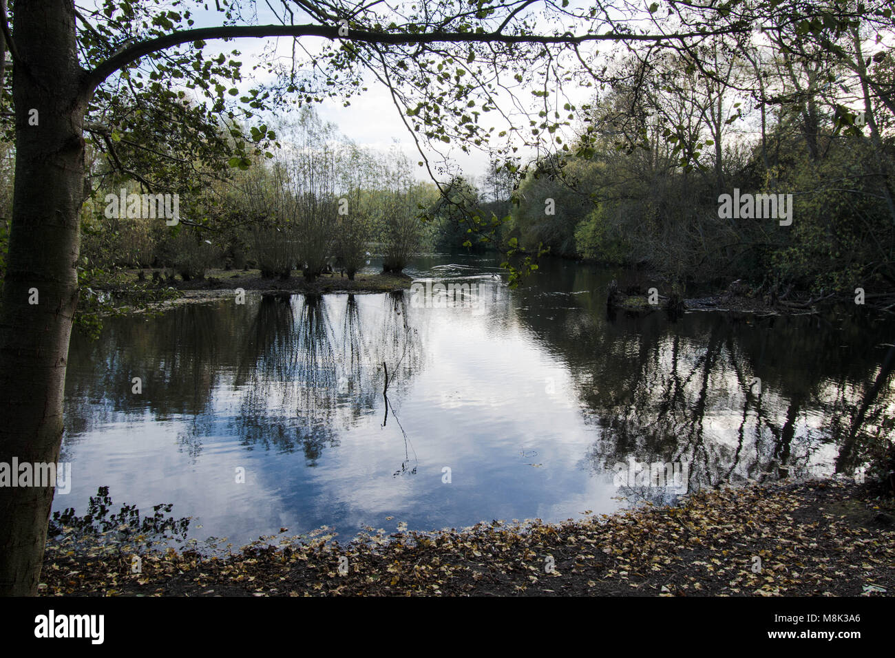 Flatford Mill river and reflection reflection Constable Country outside ...