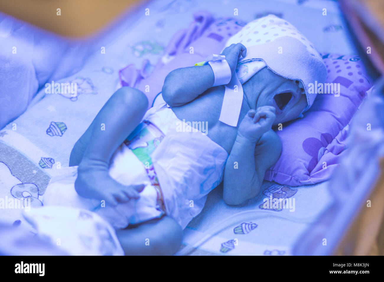 Nicu hi-res stock photography and images - Alamy