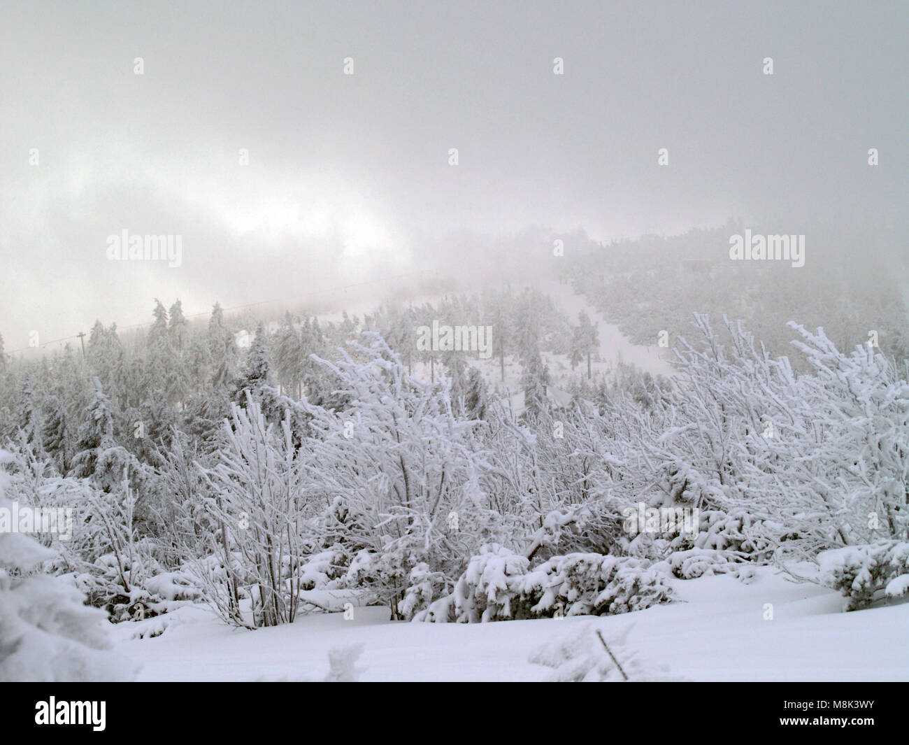 Winterstorm hi-res stock photography and images - Alamy