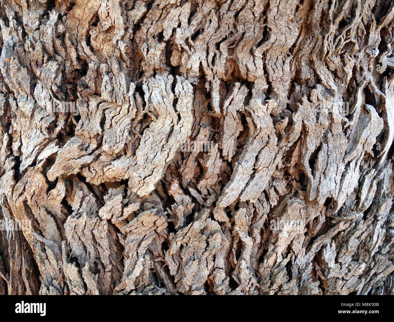 Raised x pattern hi-res stock photography and images - Alamy