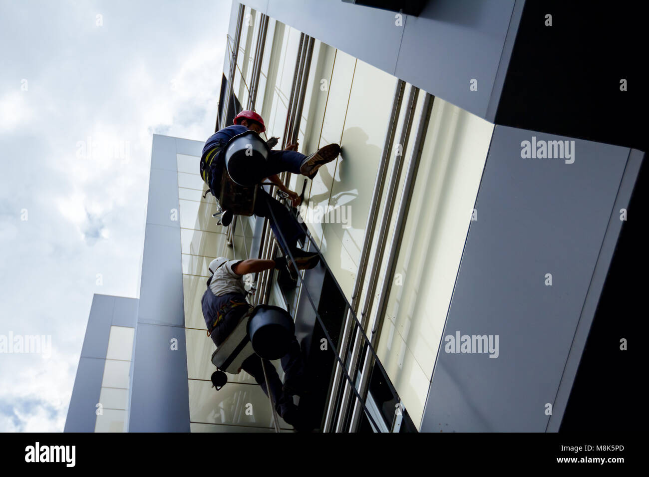 Two industrial climbers are washing, cleaning facade of a modern office ...