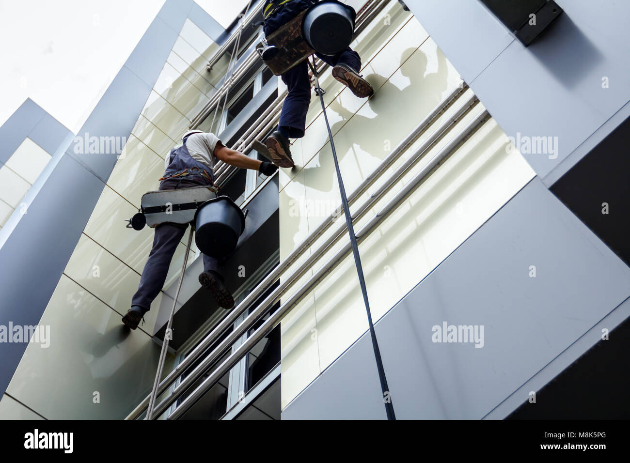Two industrial climbers are washing, cleaning facade of a modern office ...