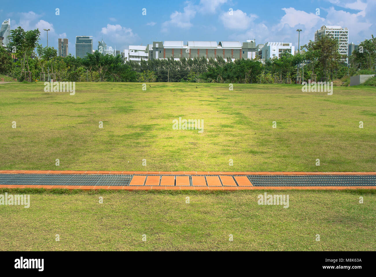 Beautiful green grass meadow field in public park with city buildings ...