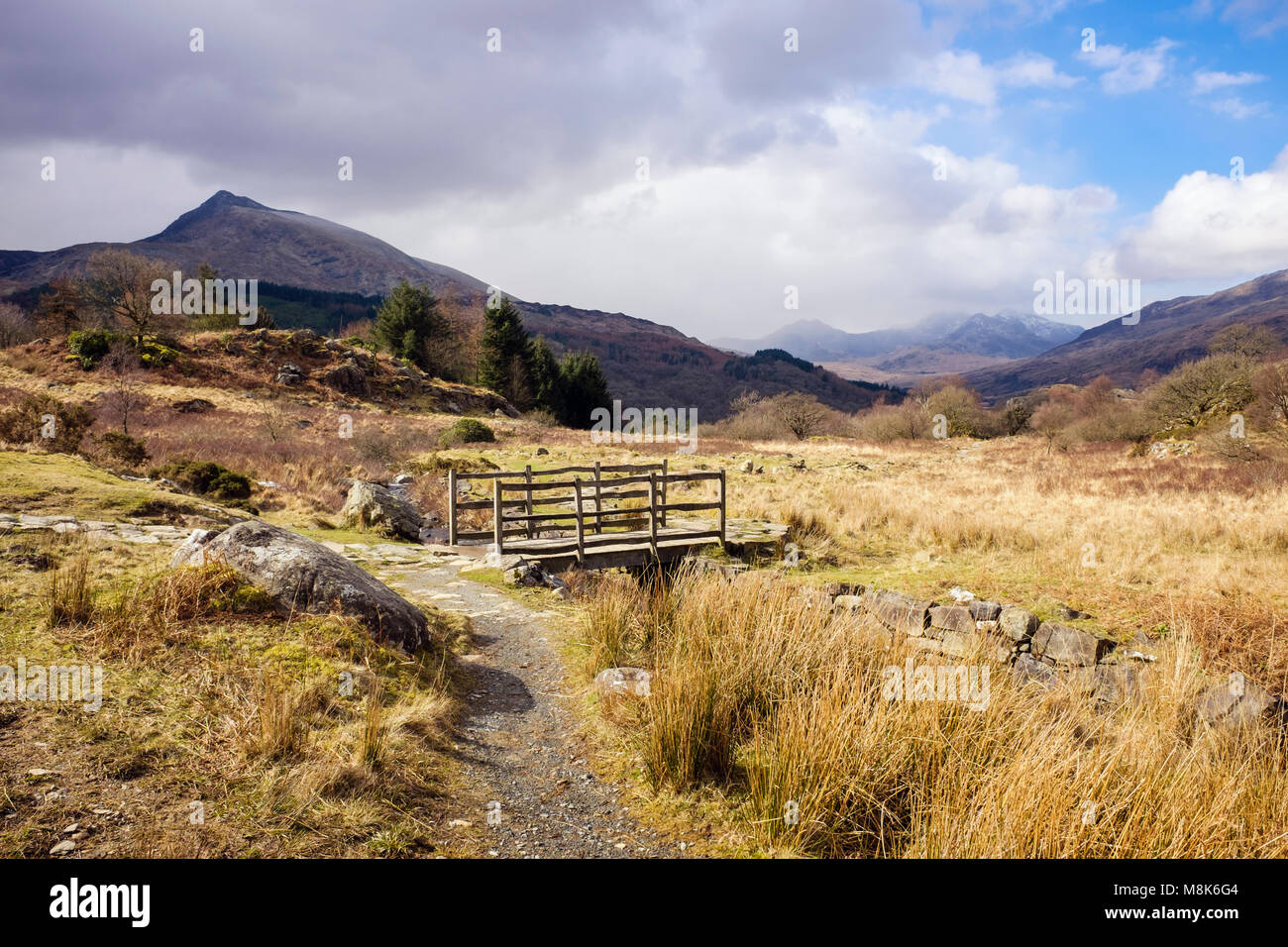 Welsh drovers hi-res stock photography and images - Alamy