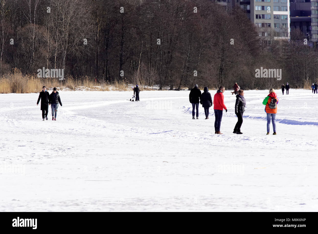 Winter fun on frozen lake in Stockholm, Sweden Stock Photo - Alamy