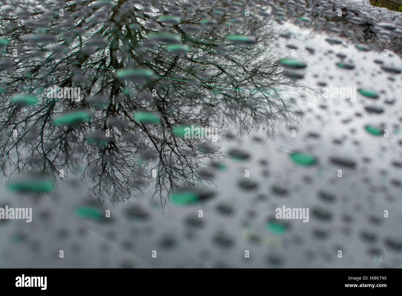 Abstract blurred water or rain drops transparent background, wallpaper ...