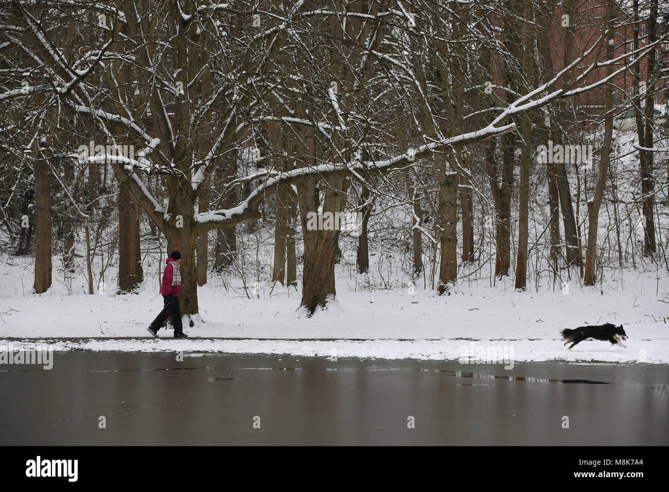 A dog walker in the snow in dale end park hi-res stock photography and ...