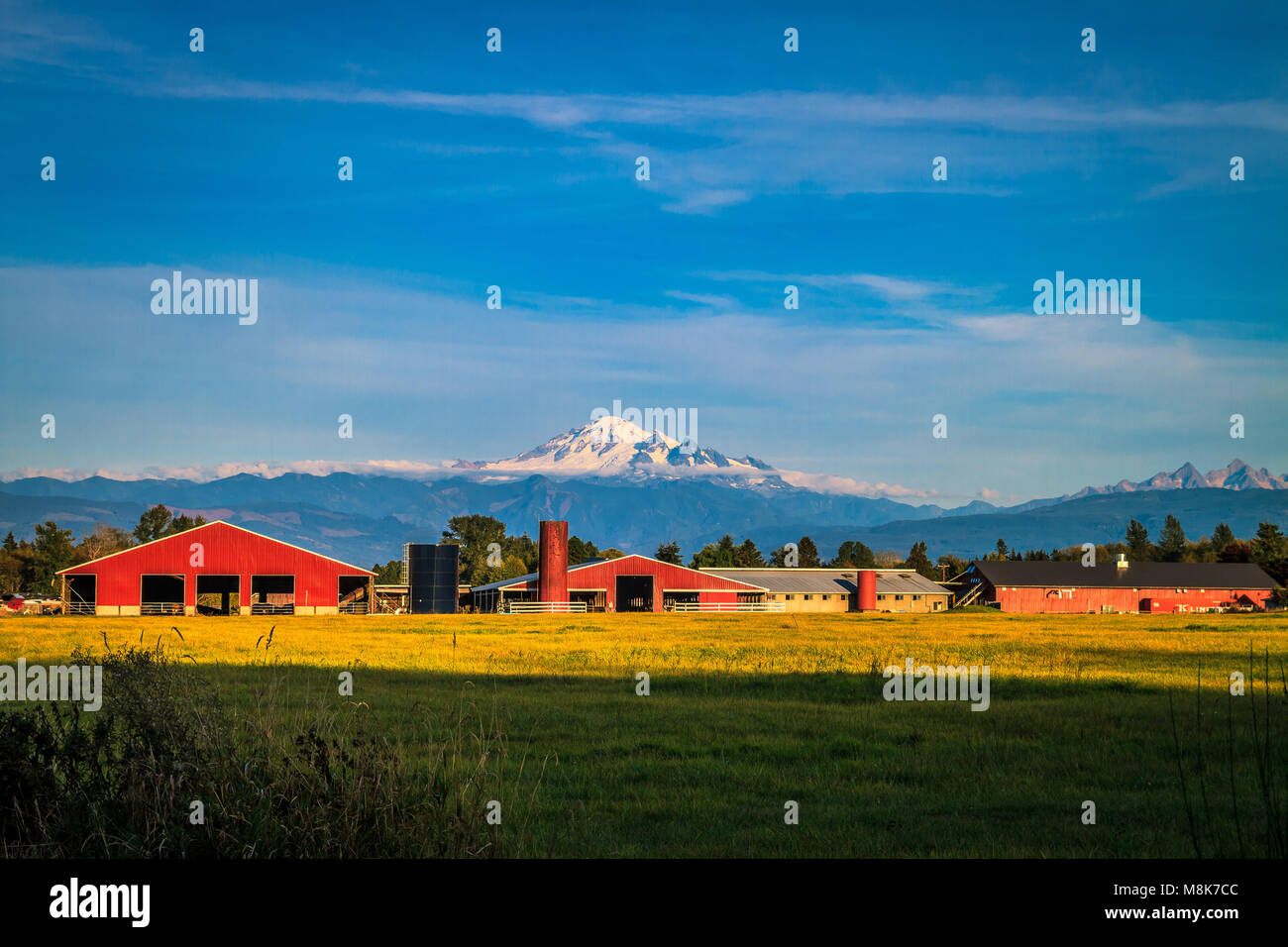 Ferndale washington hi-res stock photography and images - Alamy