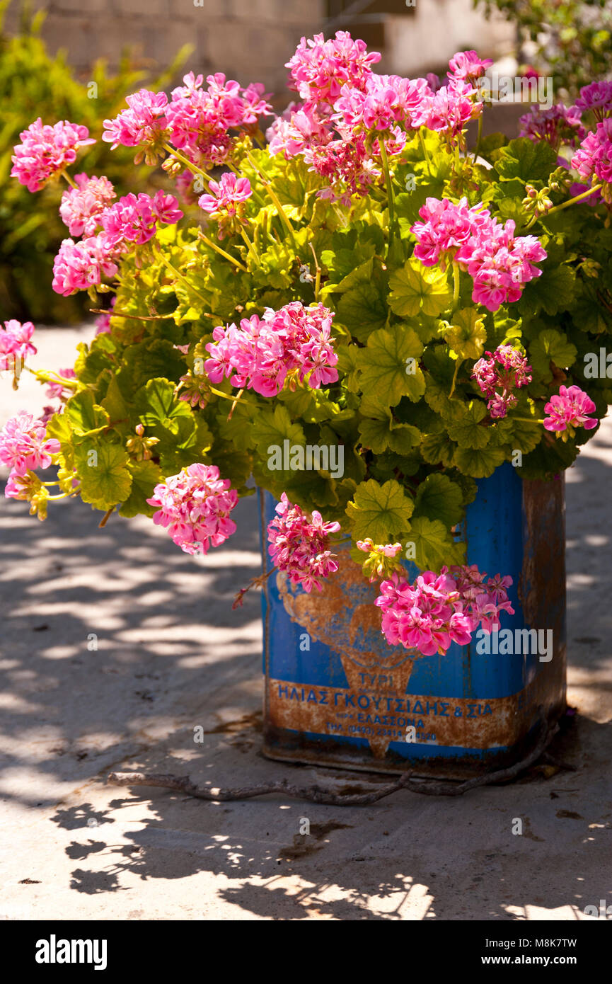 Samos garden hi-res stock photography and images - Alamy