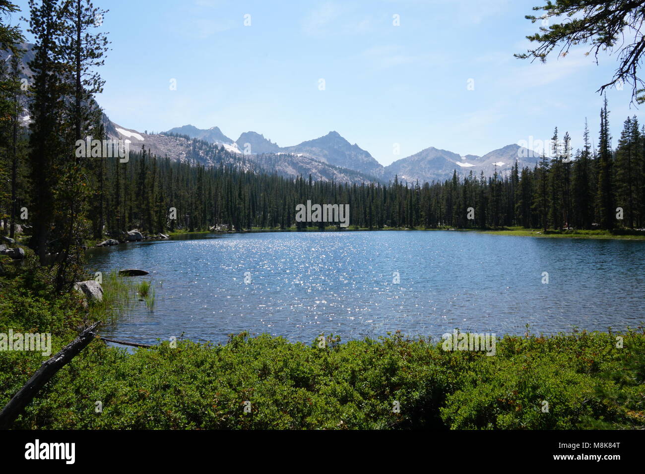 Small lake in Stanley, ID Stock Photo - Alamy