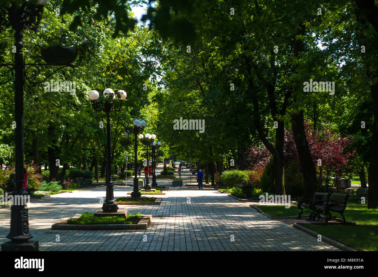 spring city Park - blooming flower and trees, bright green grass ...