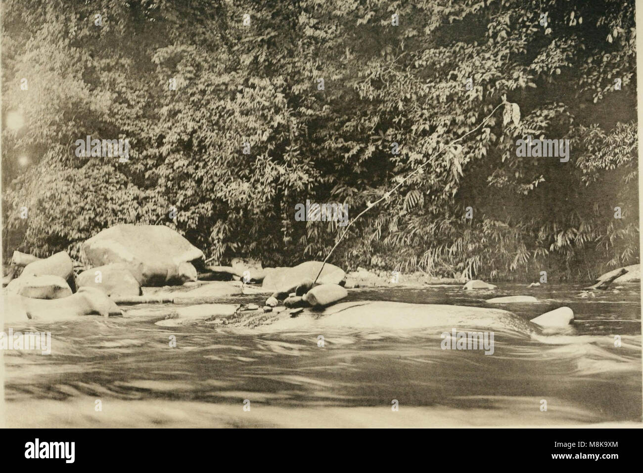 "The pagan tribes of Borneo; a description of their physical, moral and ...