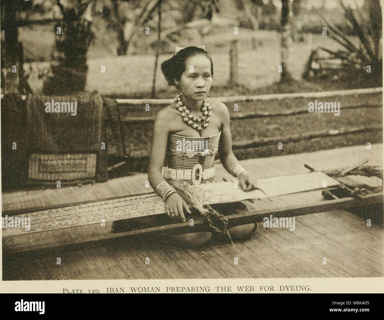 "The pagan tribes of Borneo; a description of their physical, moral and ...