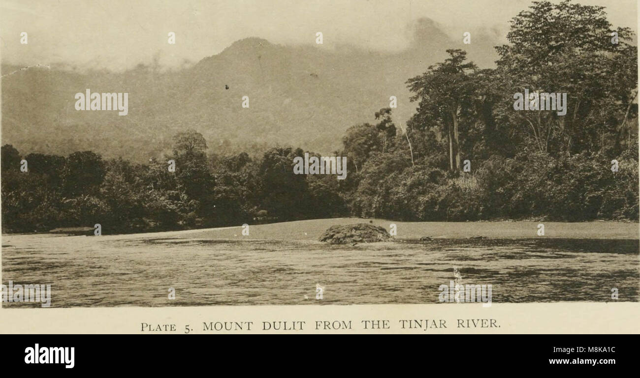 "The pagan tribes of Borneo; a description of their physical, moral and ...