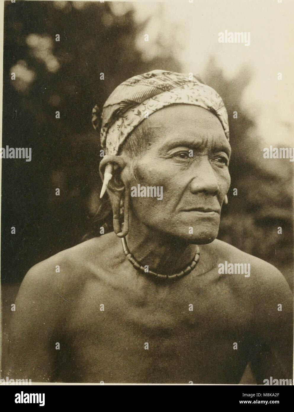 "The pagan tribes of Borneo; a description of their physical, moral and ...