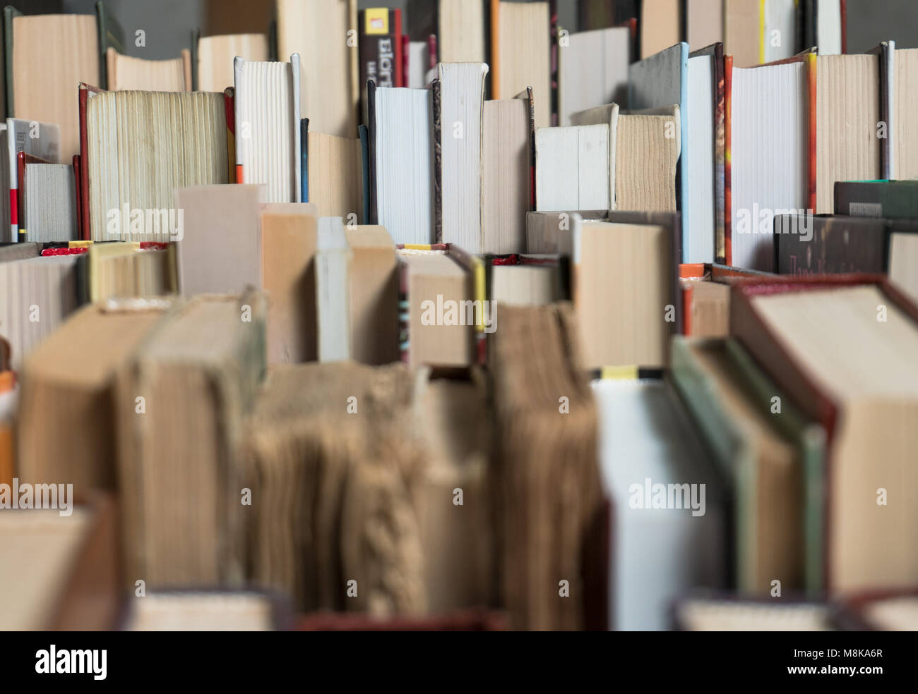 Many books in a bookstore or library Stock Photo - Alamy