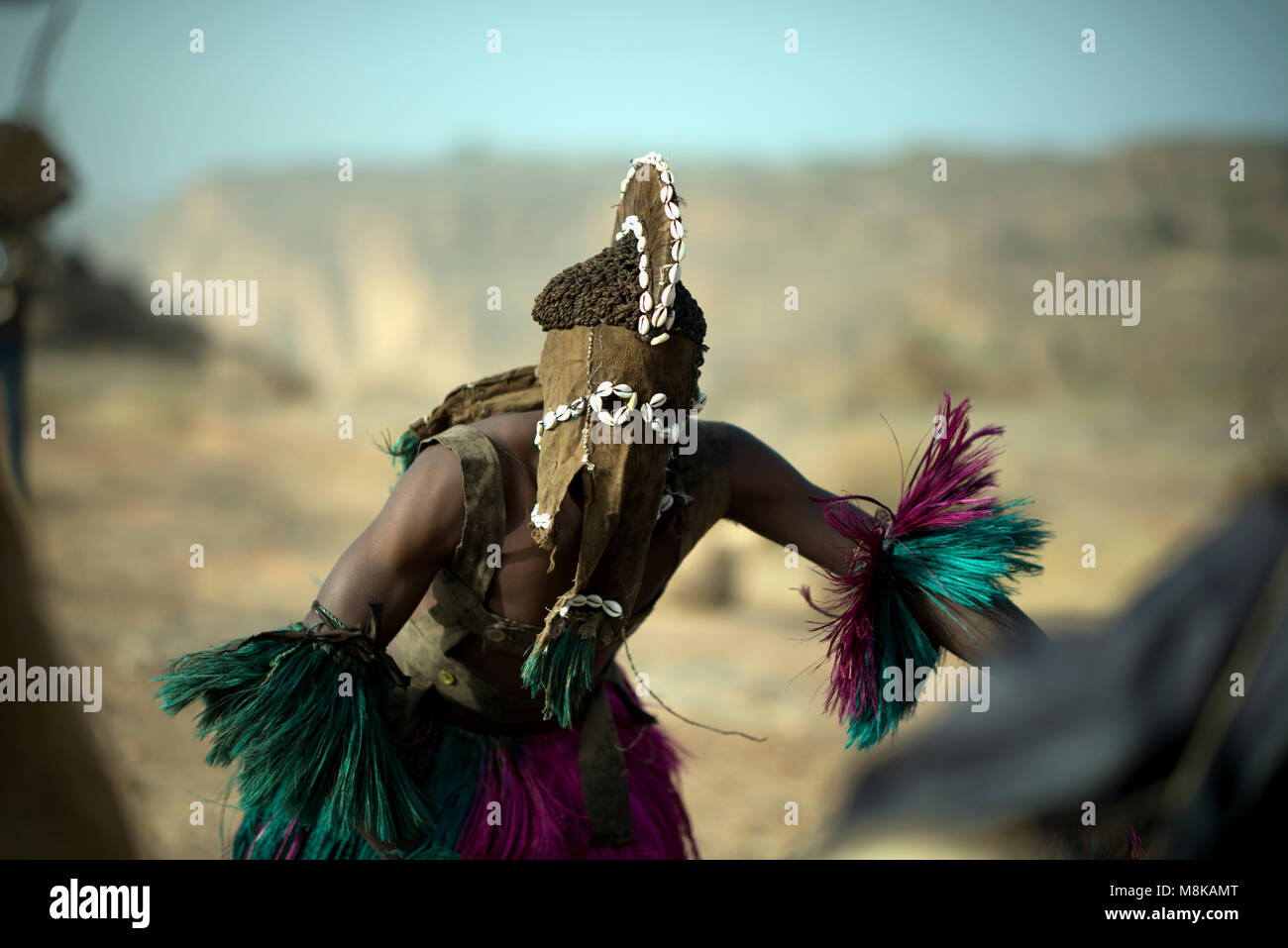 An indigenous Dogon masked dancer engaged in a ritualistic tribal dance ...