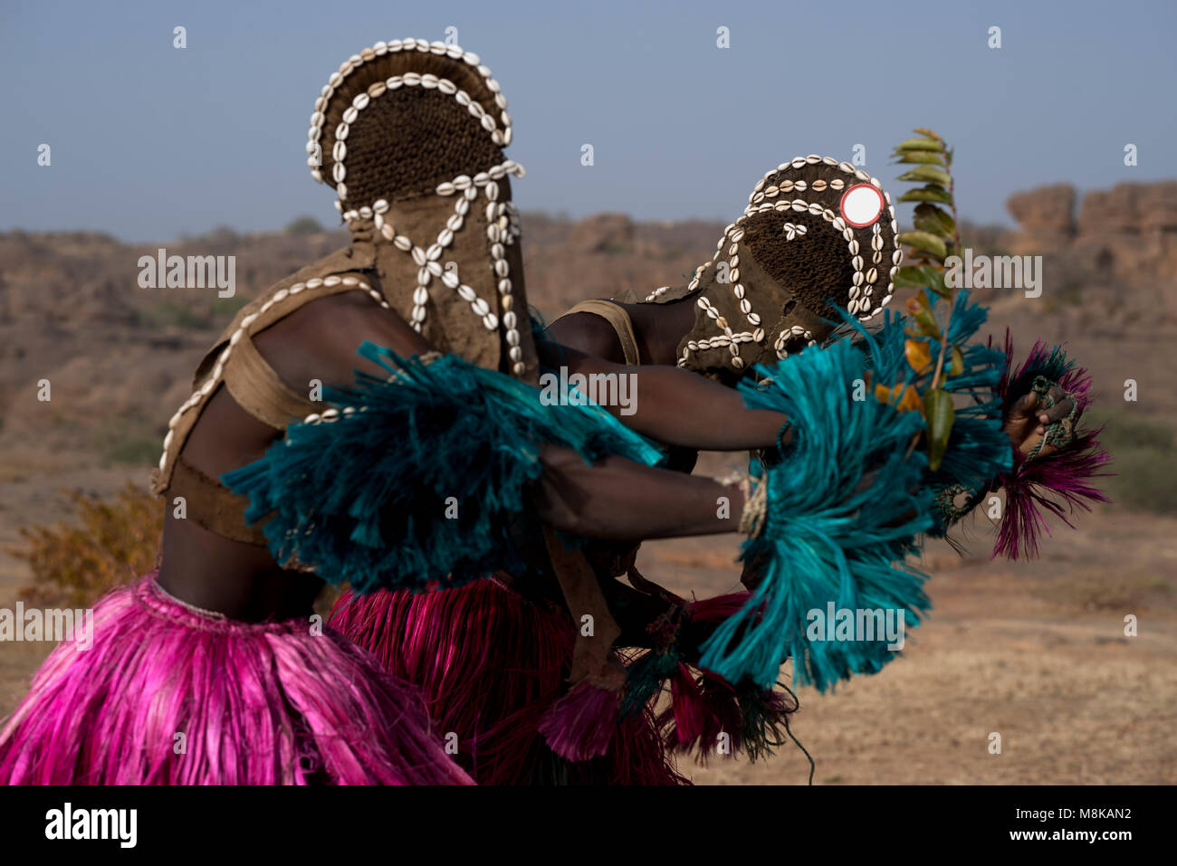 Indigenous Dogon masked dancers engaged in a ritualistic tribal dance ...