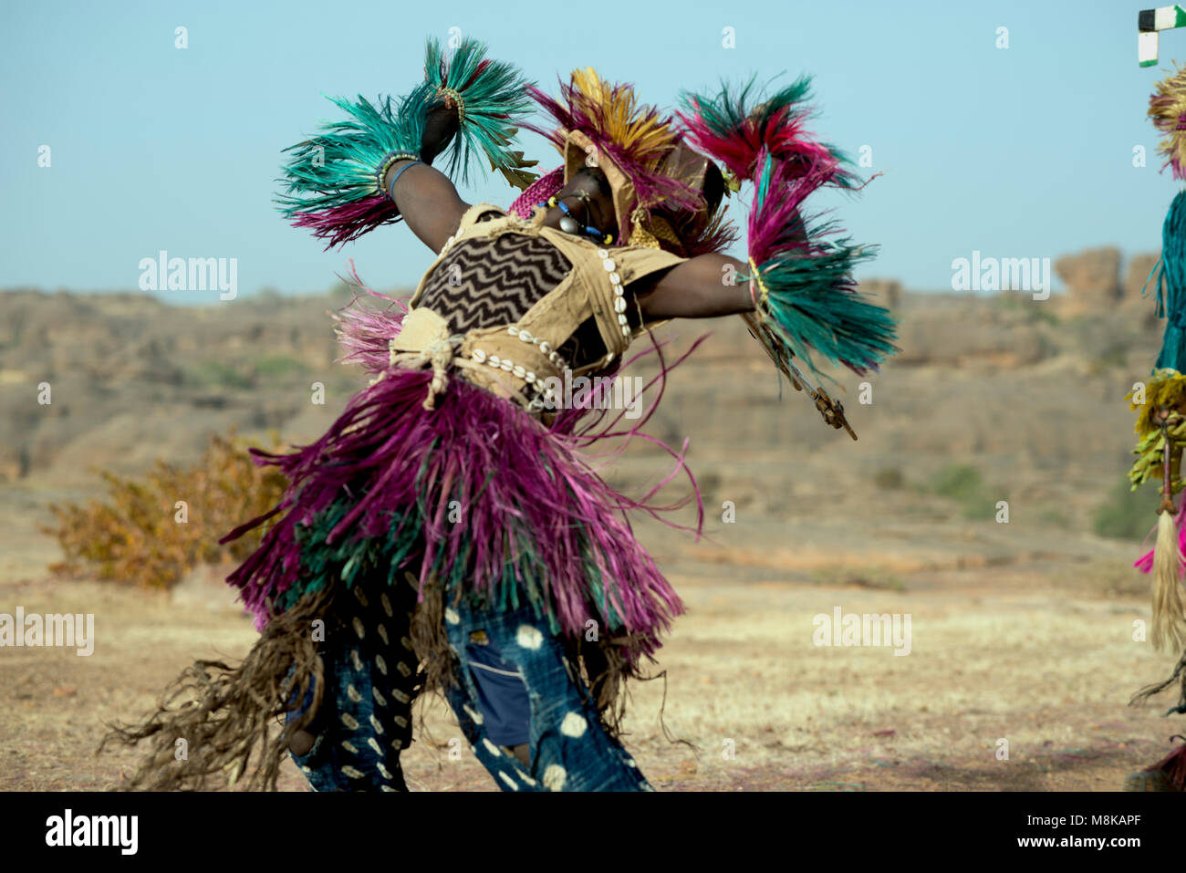 A Dogon masked dancer leaning backwards during a traditional tribal ...
