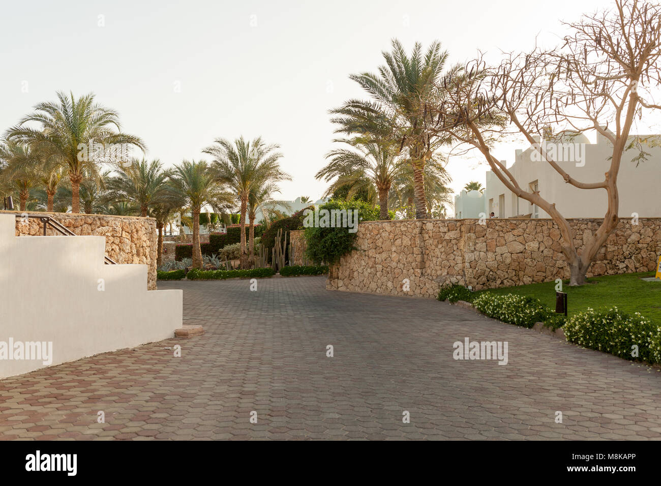 tropical luxury resort hotel Arab architecture with palm Summer time ...