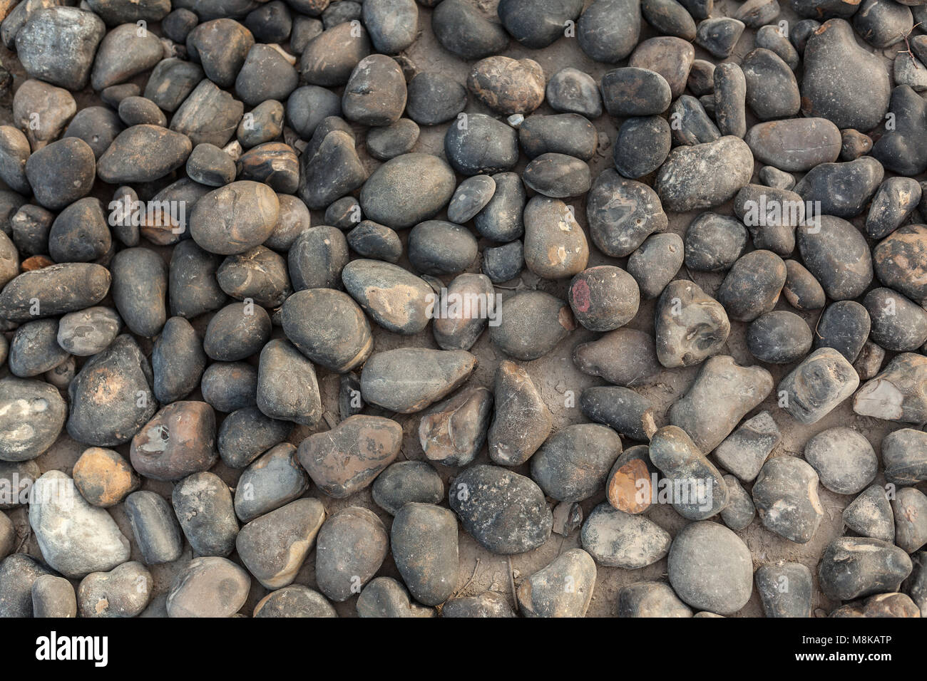 abstract sea stone texture. sea pebbles close up Stock Photo - Alamy